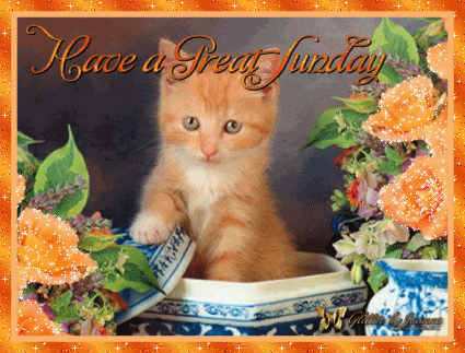 Have A Great Sunday Pictures, Photos, and Images for Facebook, Tumblr ...