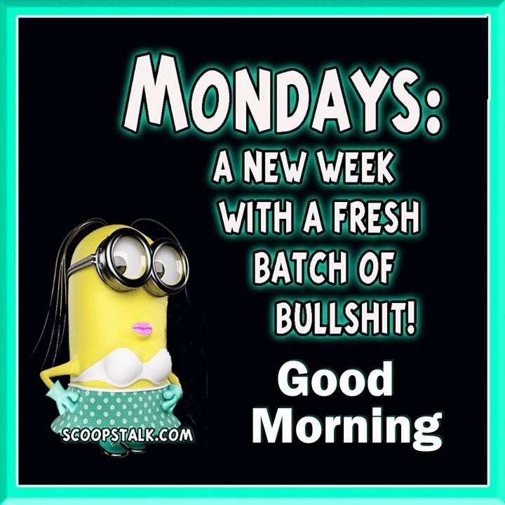 Mondays Fresh Week On BS Pictures, Photos, and Images for Facebook ...