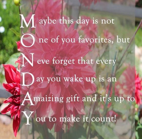 Monday Make It Count! Pictures, Photos, and Images for Facebook, Tumblr ...