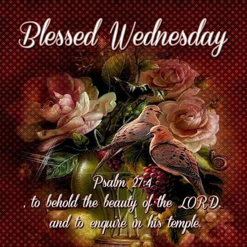 Blessed Wednesday Pictures, Photos, and Images for Facebook, Tumblr ...