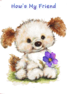 How's My Friend Today? Pictures, Photos, and Images for Facebook ...