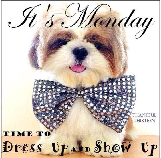 Its Monday Time To Dress Up And Show Up Pictures, Photos, and Images ...