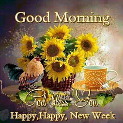 Good Morning God Bless Happy Happy New Week Pictures, Photos, and ...