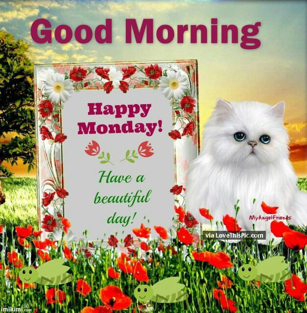 Good Morning Happy Monday Have A Beautiful Day Pictures, Photos, and ...