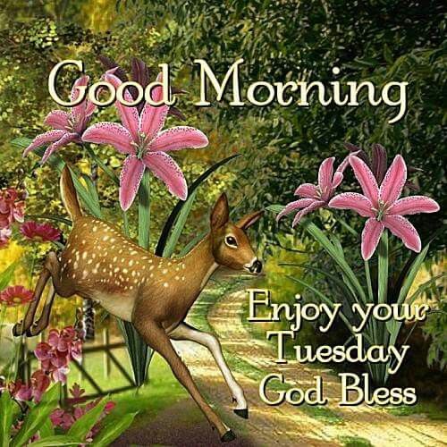 Good Morning Enjoy Your Tuesday God Bless Pictures, Photos, and Images ...