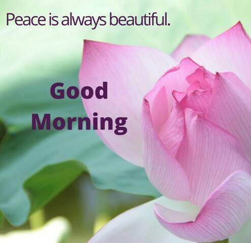 Peace Is Always Beautiful Good Morning Pictures, Photos, and Images for ...