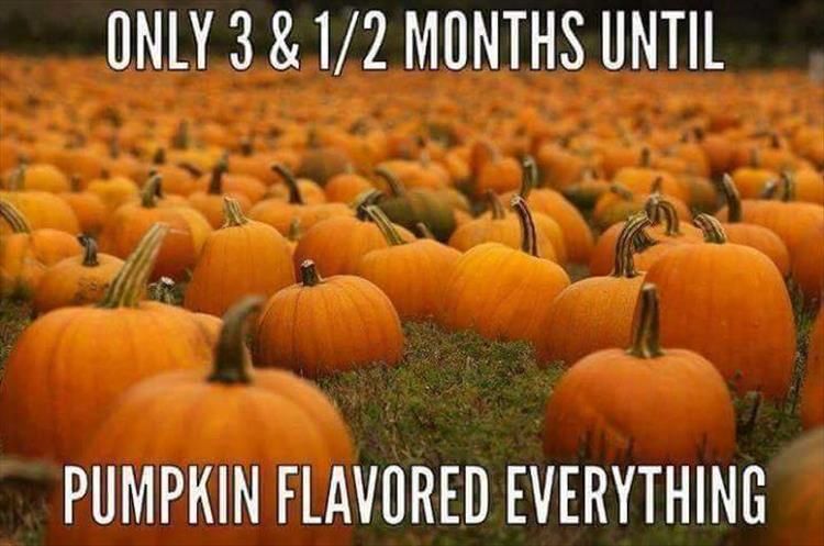 Pumpkin Flavored Everything Pictures, Photos, and Images for Facebook ...