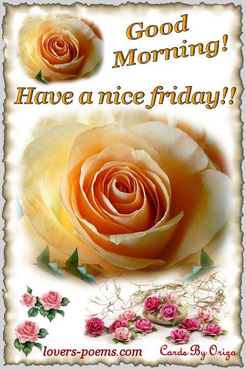 Good Morning! Have A Nice Friday!! Pictures, Photos, and Images for ...
