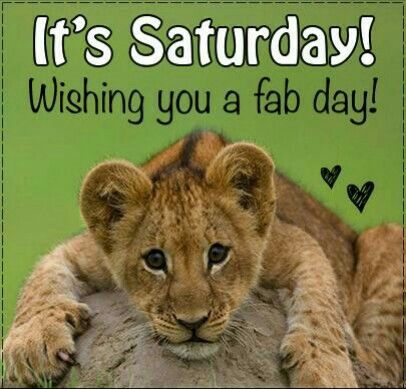Its Saturday Wishing You A Fab Day Pictures, Photos, and Images for ...