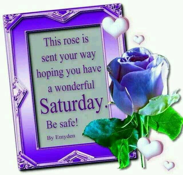 This Rose Is Sent Your Way Hoping You Have A Wonderful Saturday ...
