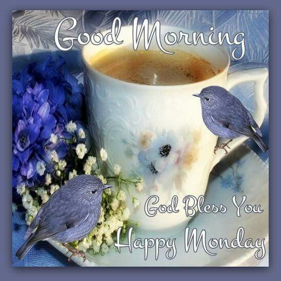 Good Morning, God Bless You, Happy Monday Pictures, Photos, and Images for Facebook, Tumblr ...