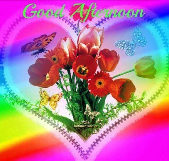 Good Afternoon Pictures, Photos, and Images for Facebook, Tumblr ...