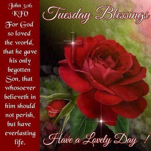 Tuesday Blessings Pictures, Photos, and Images for Facebook, Tumblr ...