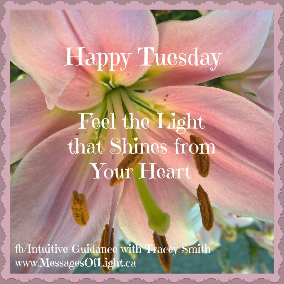 Happy Tuesday Feel The Light That Shines From Your Heart Pictures ...