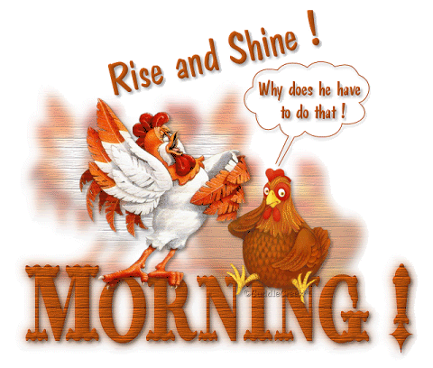 Rise And Shine! Good Morning Pictures, Photos, and Images for Facebook ...
