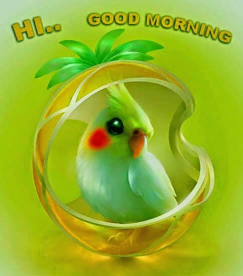 Hi...Good Morning Pictures, Photos, and Images for Facebook, Tumblr ...