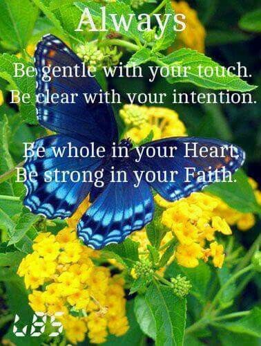 Always Be Gentle With Your Touch Pictures, Photos, and Images for ...