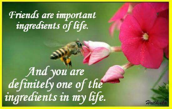 Friends Are Important Ingredients Of Life. Pictures, Photos, and Images ...