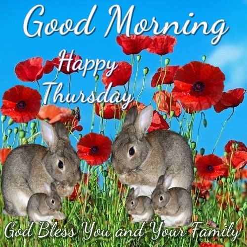 Good Morning Happy Thursday God Bless Your Family Pictures, Photos, and ...