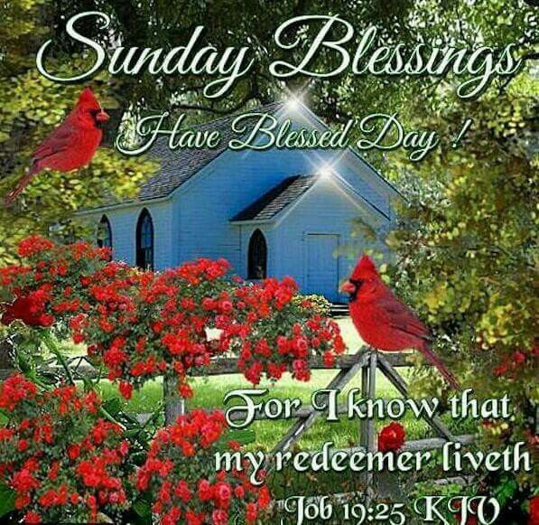 Sunday Blessings, Have A Blessed Day Pictures, Photos, and Images for ...