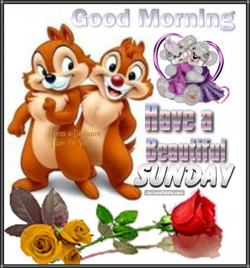Good Morning Have A Beautiful Sunday Pictures, Photos, and Images for ...