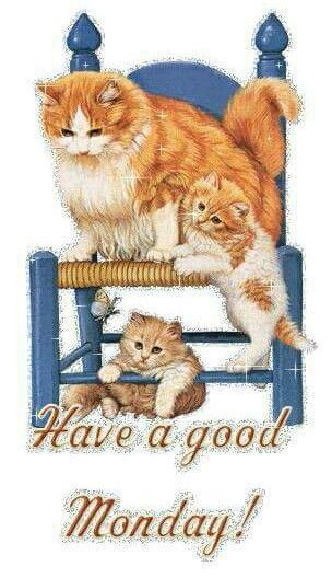 Have A Good Monday Pictures, Photos, and Images for Facebook, Tumblr ...