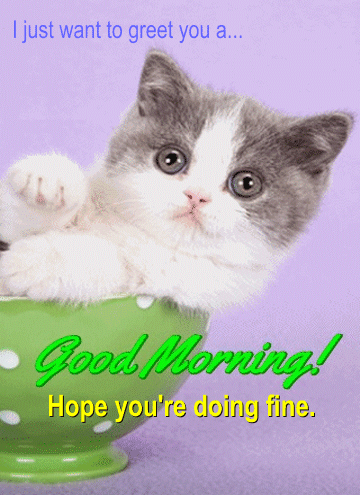 Just Want To Greet You Good Morning Hope You Are Doing Fine Pictures ...