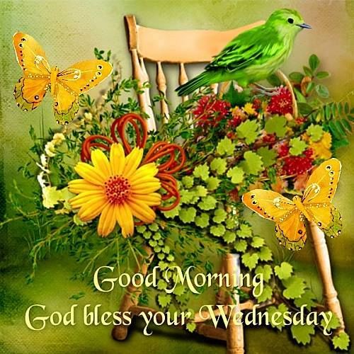 Good Morning, God Bless Your Wednesday Pictures, Photos, and Images for ...