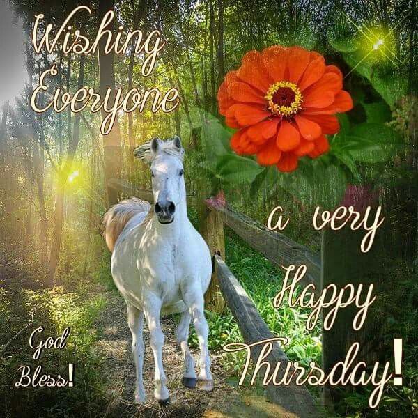Wishing Everyone A Very Happy Thursday! Pictures, Photos, and Images ...