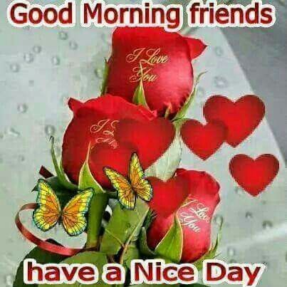 Good Morning Friends Pictures, Photos, and Images for Facebook, Tumblr ...