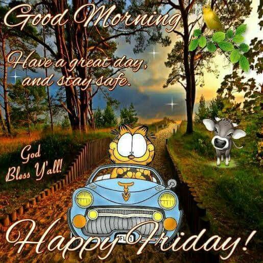 Good Morning, Have A Great Day And Stay Safe, Happy Friday Pictures ...