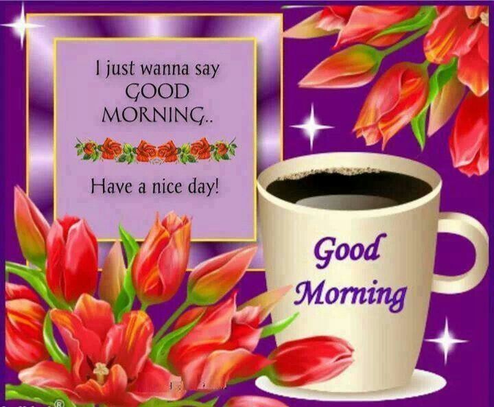 I Just Wanna Say Good Morning Pictures, Photos, and Images for Facebook ...