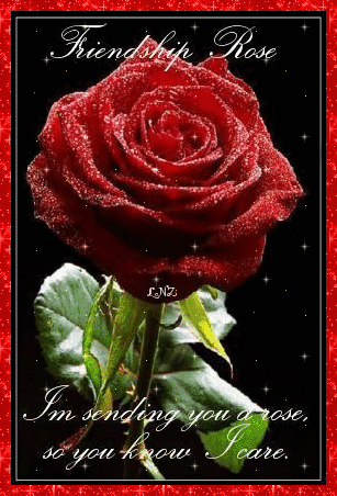 Friendship Rose...I'm Sending You A Rose So You Know I Care.. Pictures ...