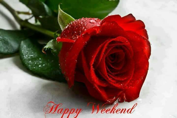 Happy Weekend Pictures, Photos, and Images for Facebook, Tumblr ...