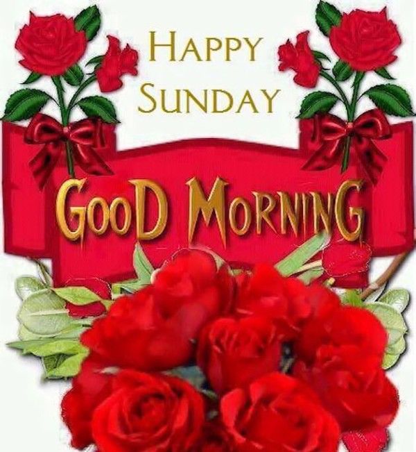 Happy Sunday, Good Morning Pictures, Photos, and Images for Facebook ...