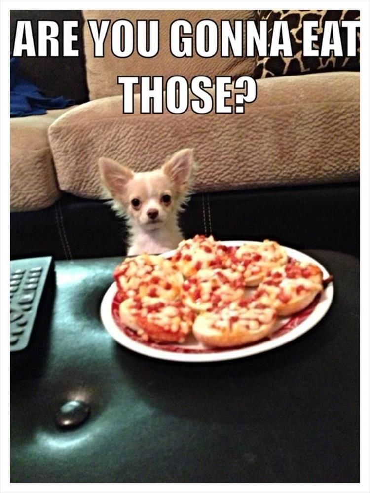 Are You Gonna Eat Those? Pictures, Photos, and Images for Facebook ...