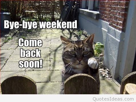 Bye Bye Weekend Pictures, Photos, and Images for Facebook, Tumblr ...