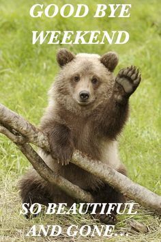 Goodbye Weekend, So Beautiful And Gone Pictures, Photos, and Images for ...