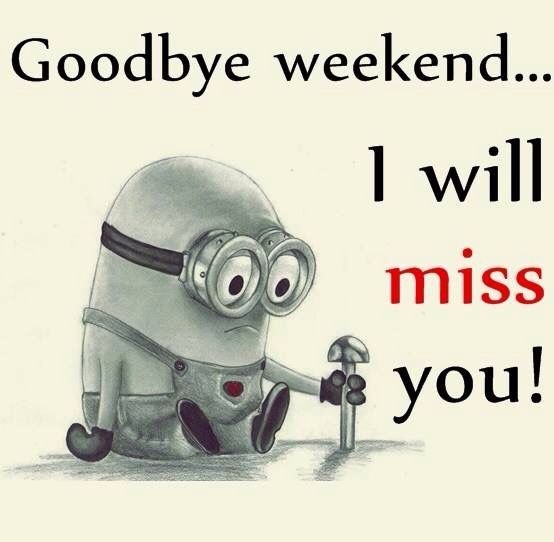 Goodbye Weekend...I Will Miss You! Pictures, Photos, and Images for ...