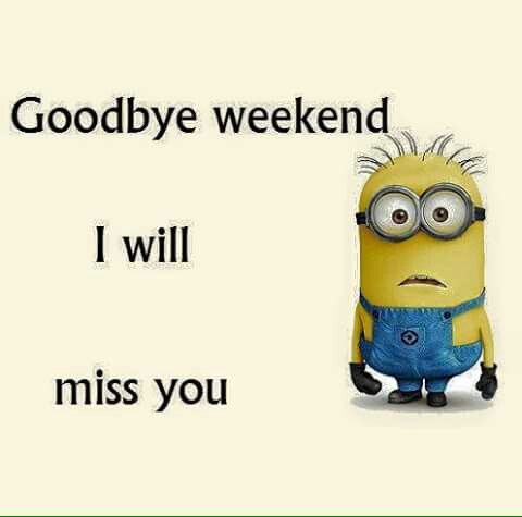 Goodbye Weekend, I Will Miss You Pictures, Photos, and Images for ...