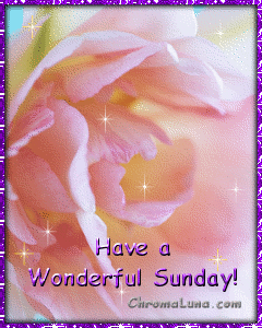 Have A Wonderful Sunday Pictures, Photos, and Images for Facebook ...
