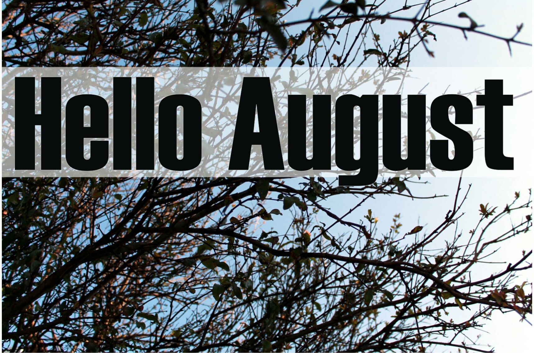 Hello August Pictures, Photos, and Images for Facebook, Tumblr ...