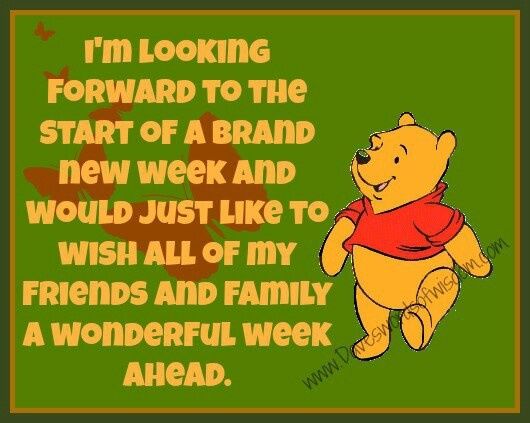 I'm Looking Forward To The Start Of A Brand New Week And Would Just ...