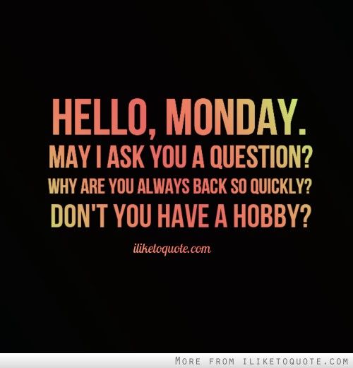 Hello Monday, May I Ask You A Question? Pictures, Photos, and Images ...