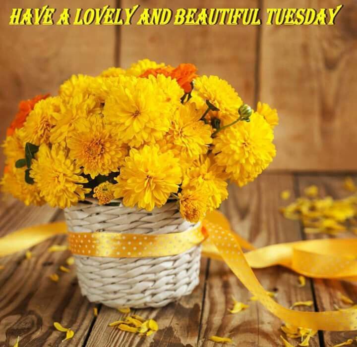 Have A Lovely And Beautiful Tuesday Pictures, Photos, and Images for ...