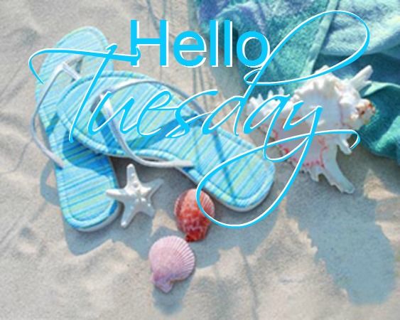 Hello Tuesday Summer Beach Quote Pictures, Photos, and Images for ...