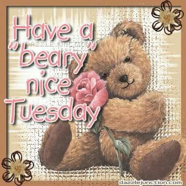 Have A Beary Nice Tuesday Pictures, Photos, and Images for Facebook ...