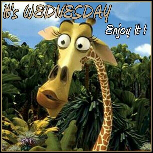 It's Wednesday Enjoy It Pictures, Photos, and Images for Facebook ...