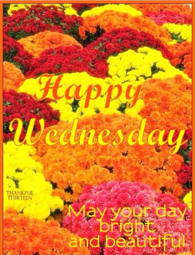 Wednesday Flowers Pictures, Photos, and Images for Facebook, Tumblr ...