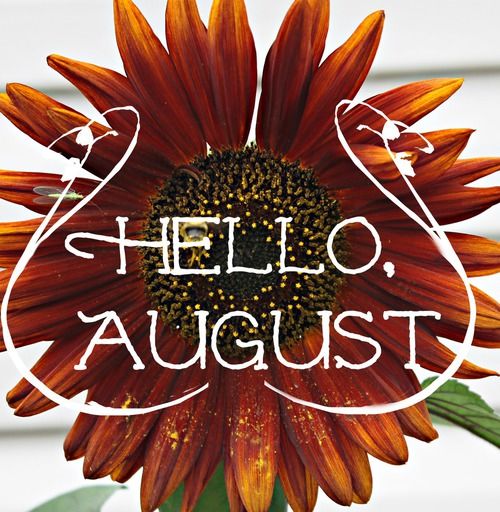 Hello August Pictures, Photos, and Images for Facebook, Tumblr ...